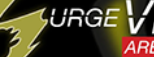 VR Gaming | Surge VR Arena